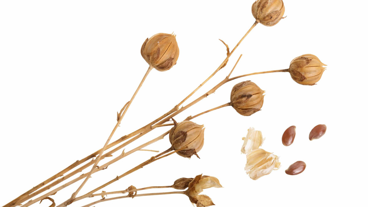 Co to jest len i jak powstaje len stonewashed? - Malua.pl